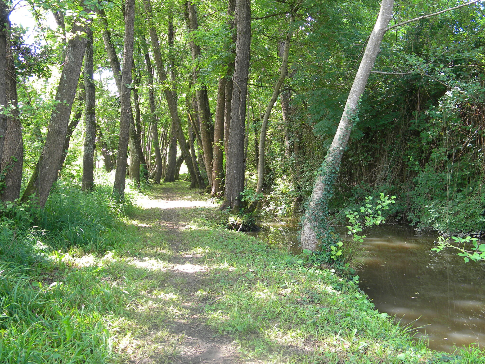 Découvrir Montguyon – Montguyon
